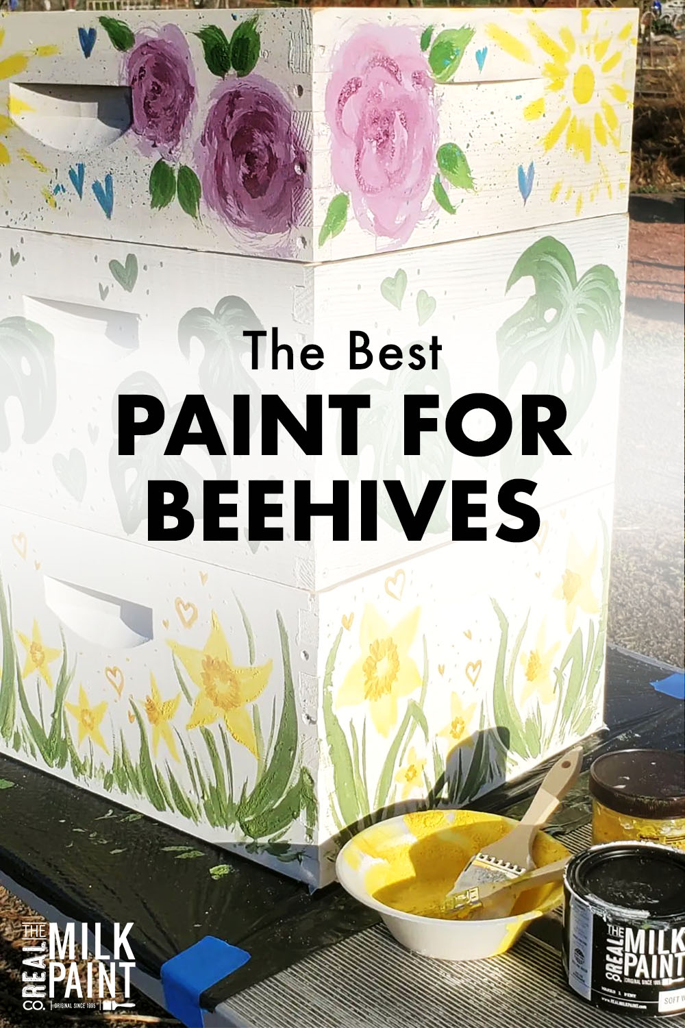 The Best Paint For Beehives | RMP Finishes